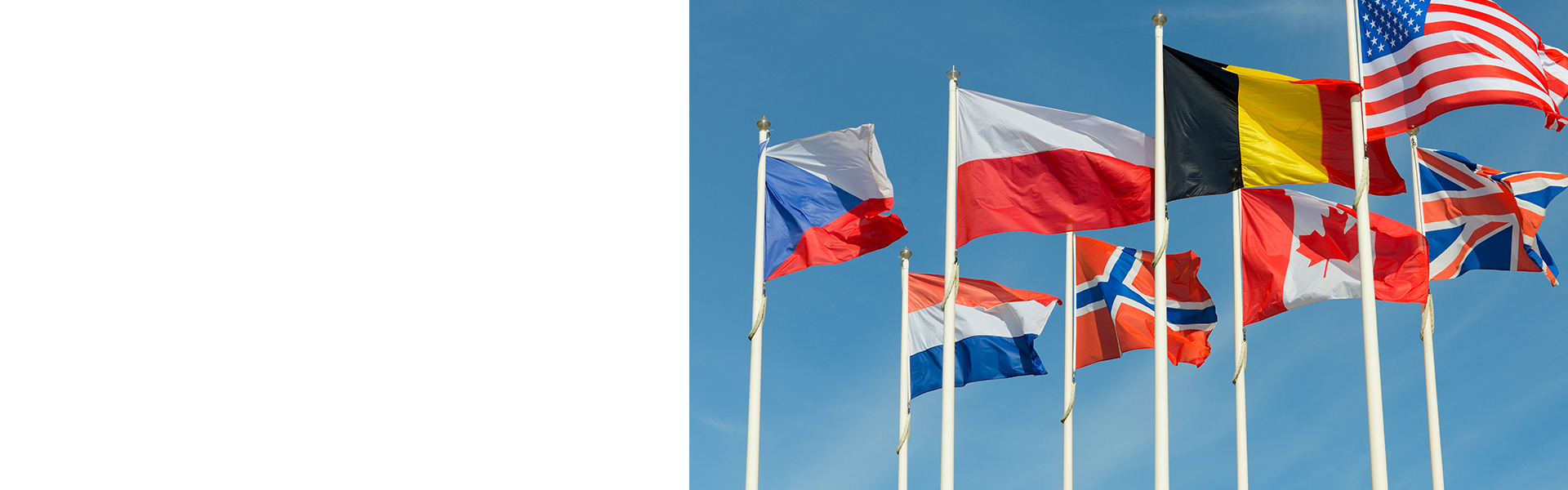 Political Risk Insurance | Cowan Insurance Group