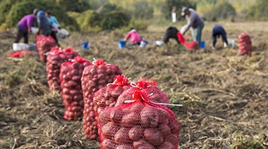 Inpatriate Solutions | Cowan Insurance Group