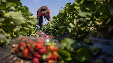 Inpatriate Solutions | Cowan Insurance Group